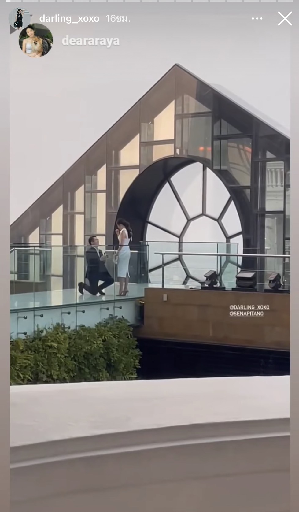 จ่อสละโสด "ดาร์ลิ่ง อารดา" ถูกแฟนหนุ่มเซอร์ไพรส์คุกเข่าขอแต่งงาน