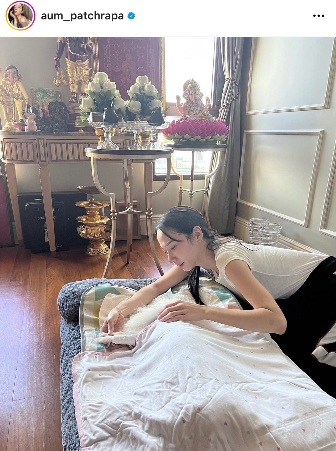 ขอบคุณที่มาเติมเต็มชีวิต!! "อั้ม พัชราภา" สุดเศร้าบอกลา "ไตเติ้ล" น้องหมาสุดรัก