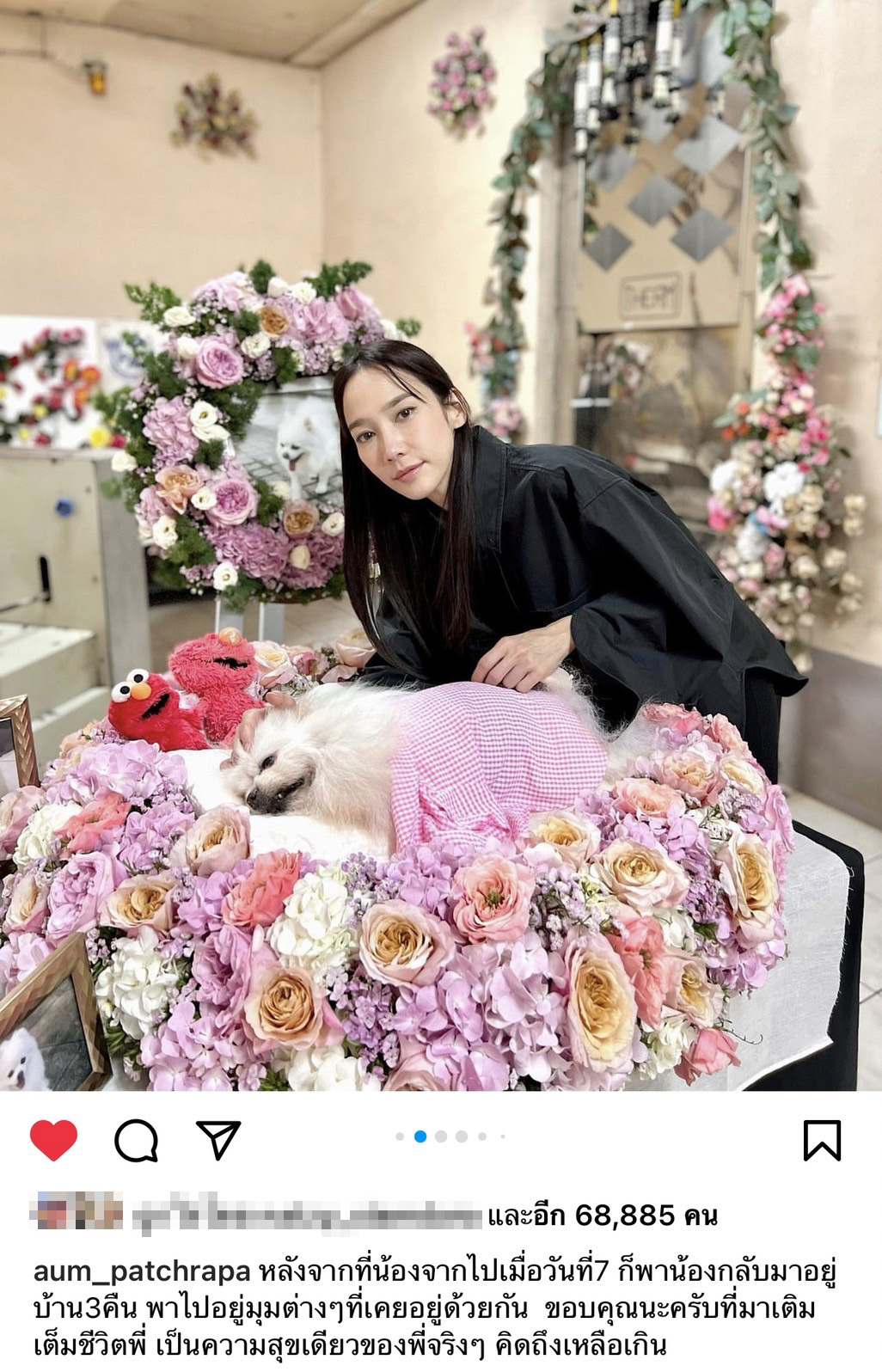 ขอบคุณที่มาเติมเต็มชีวิต!! "อั้ม พัชราภา" สุดเศร้าบอกลา "ไตเติ้ล" น้องหมาสุดรัก